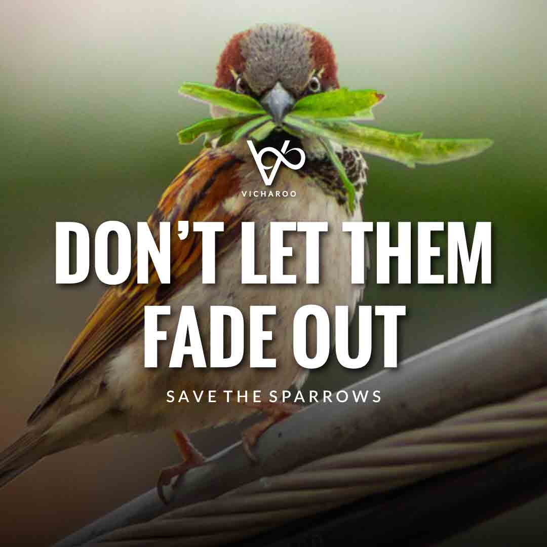 105+ Best Sparrow Day Slogans, Quotes, & Sayings – Vicharoo