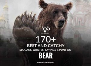 170+ Best Bear Day Quotes, Puns & Sayings – Vicharoo